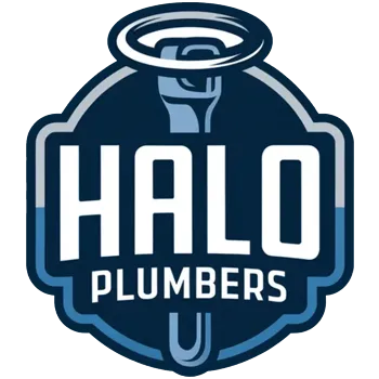 Expert Plumbers for Water Leak Repairs