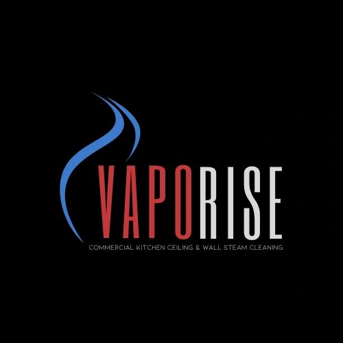 Vaporisecleaning.com
