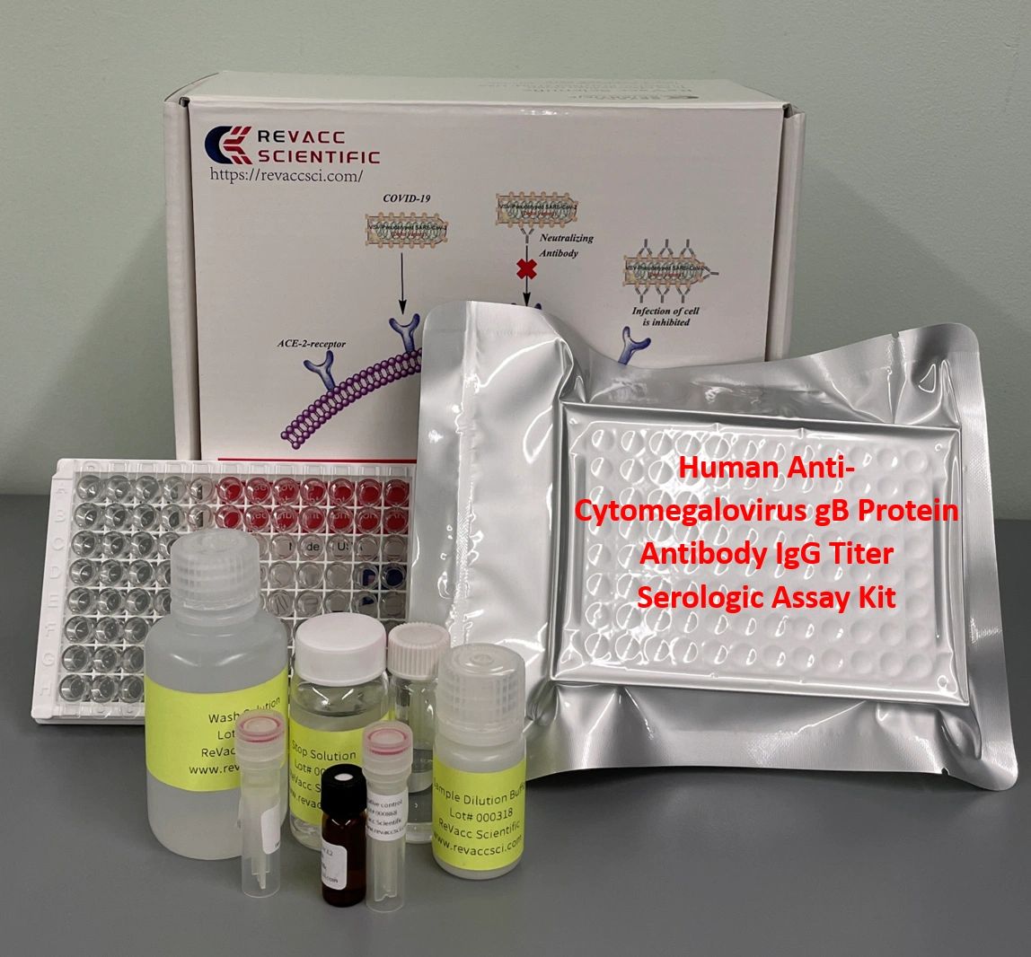 Human Anti-Cytomegalovirus gB Protein Antibody IgG Titer Serologic ...