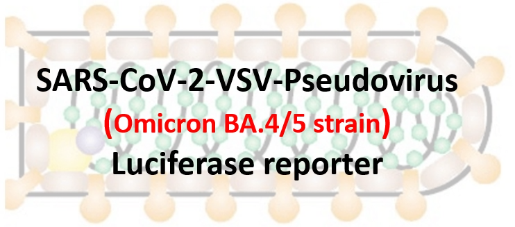 VSV-Pseudovirus_SARS-CoV-2 Omicron BA.4/5 Strain Spike with Luciferase ...