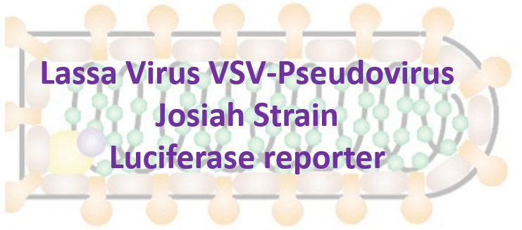VSV-Pseudovirus Lassa Virus (Josiah Strain) Glycoprotein Complex with ...