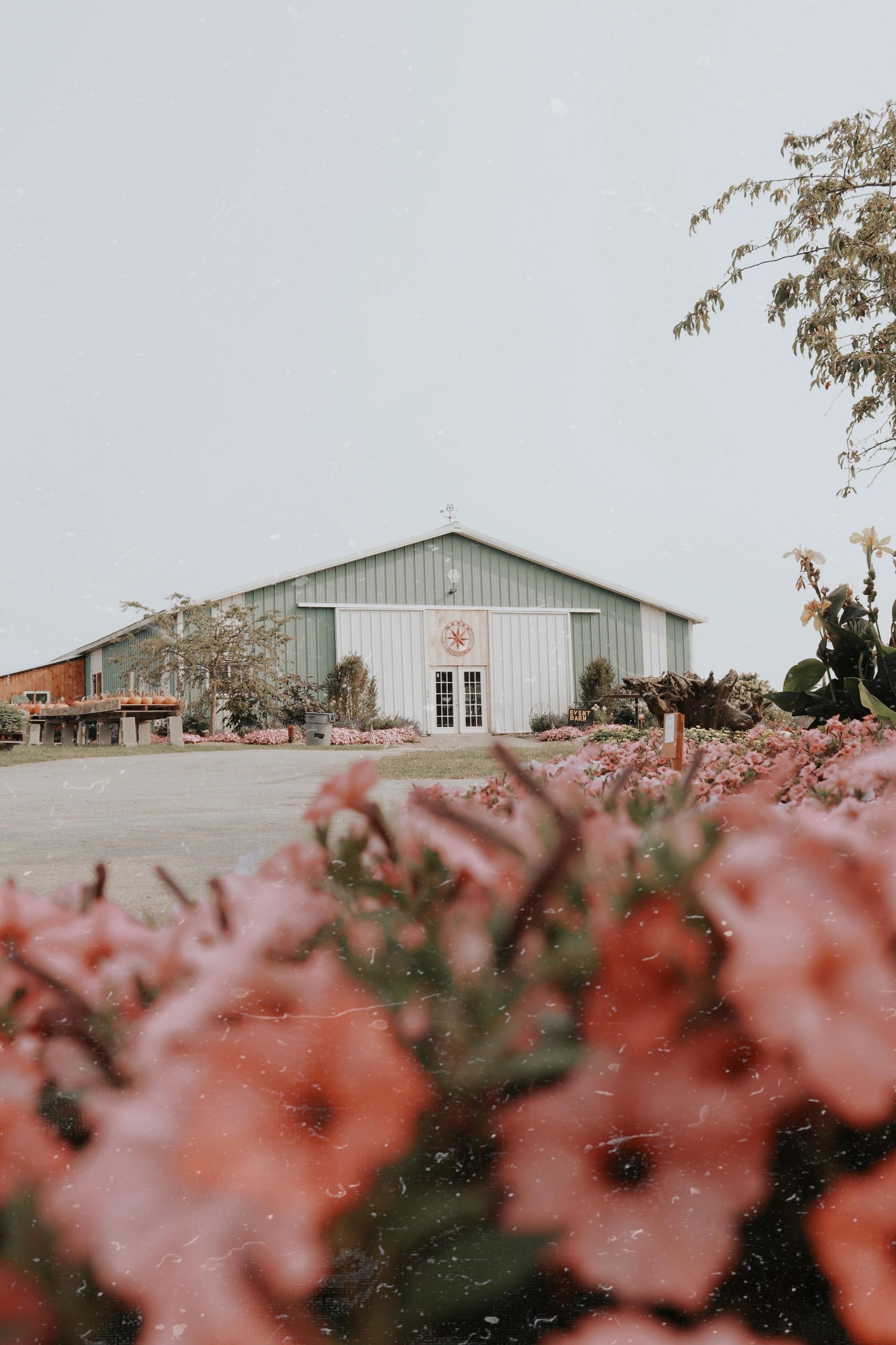 Twin Ponds on the FARM - Twin Ponds on the FARM
