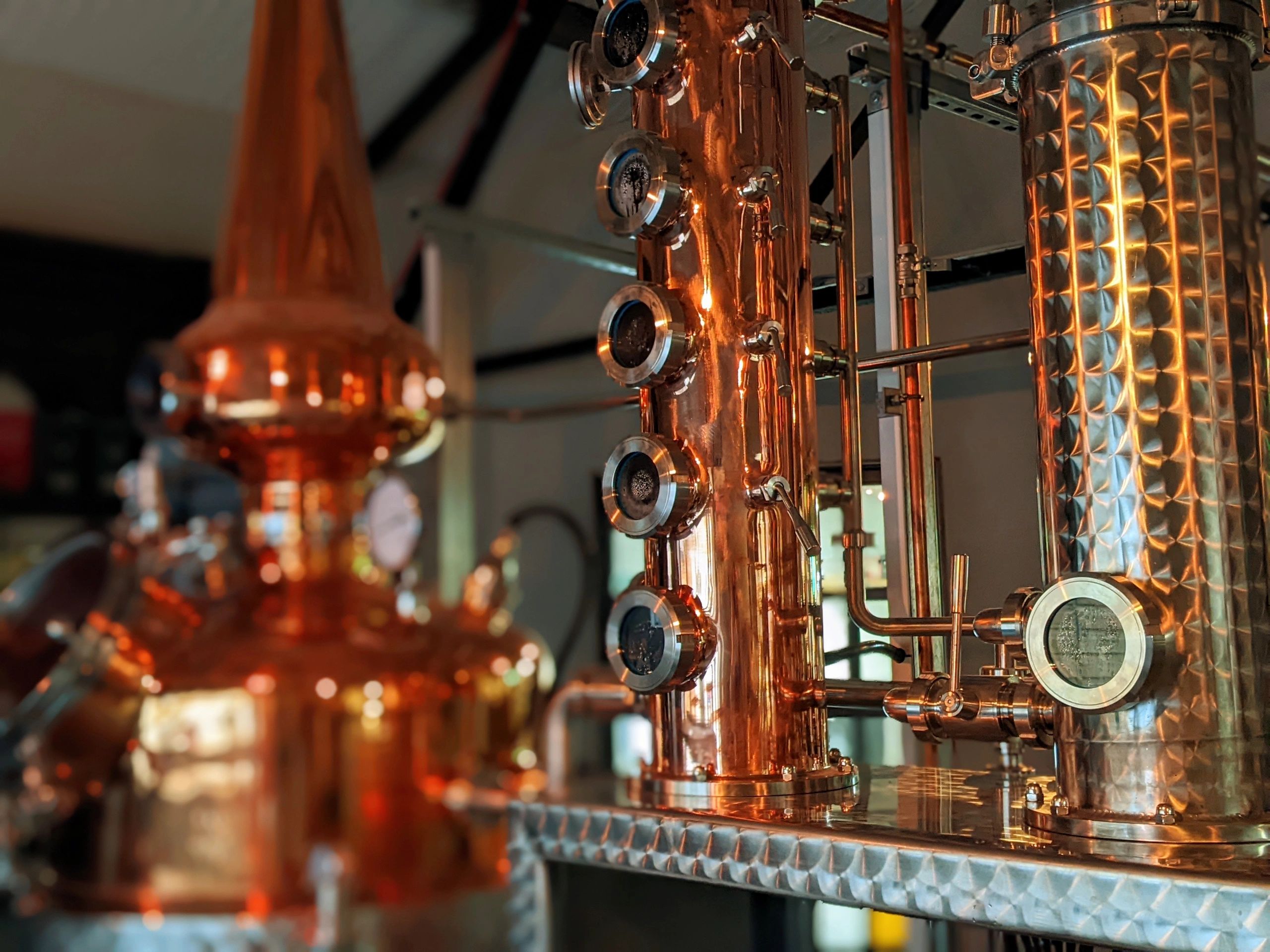 Gin Tasting - Stoughton Grange Distillery