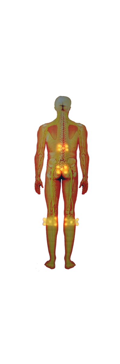 Anatomical Cover for Migun Table