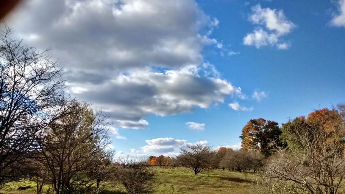 Backwoods Realty Company, LLC - Real Estate, Land