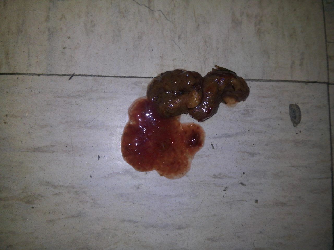 Por Qué Mi Cachorro Hace Caca De Mucosidad