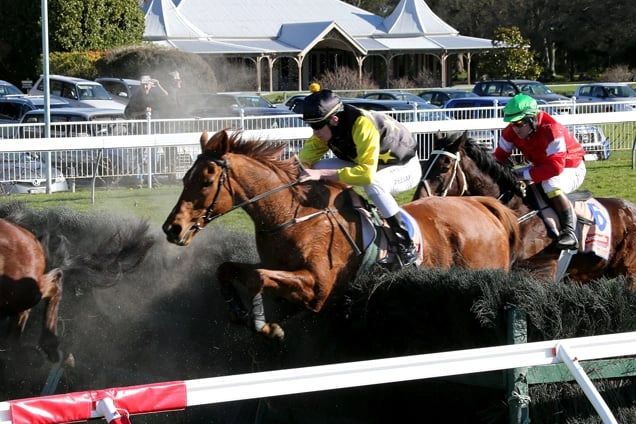 NZ Horse Racing - Bidlake Racing