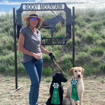 american pointing lab