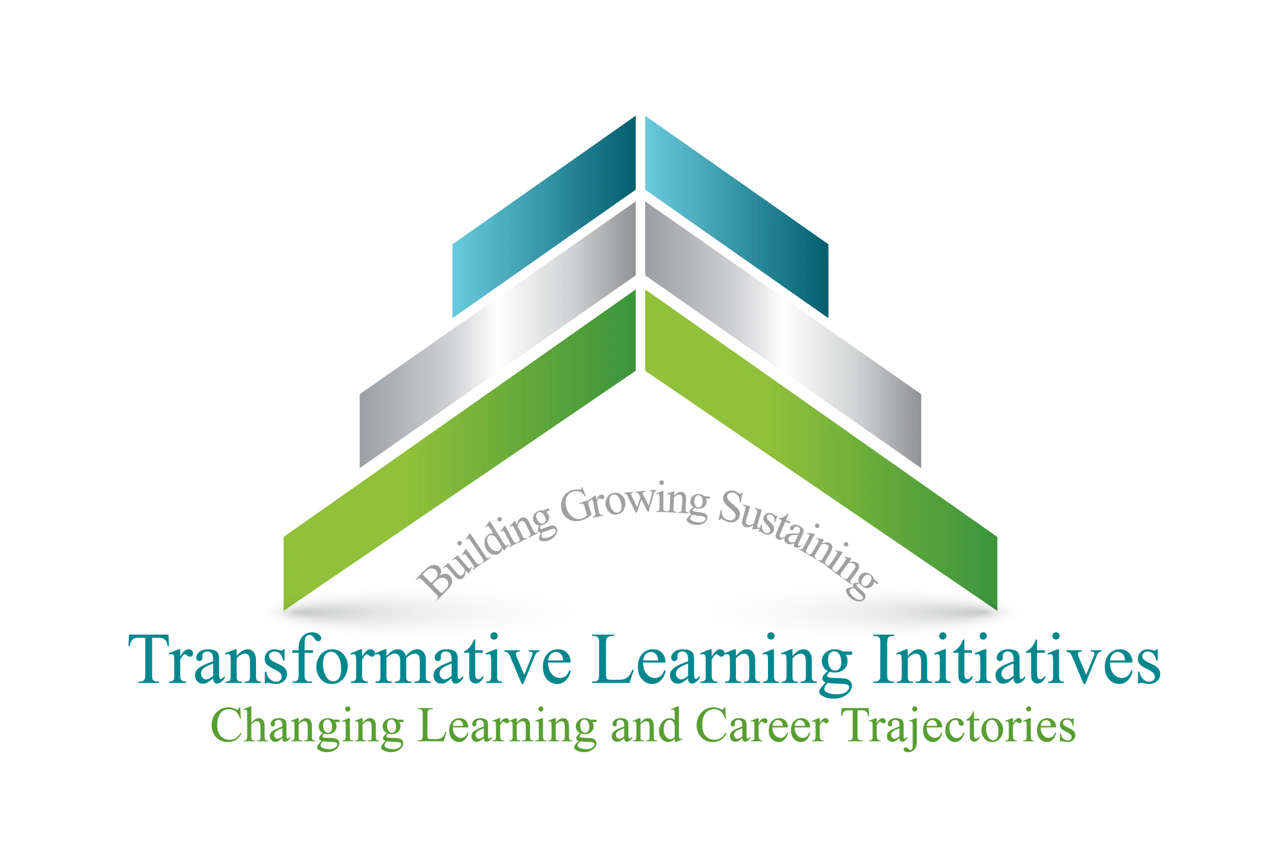 Educational Consultant - Transformative Learning Initiatives