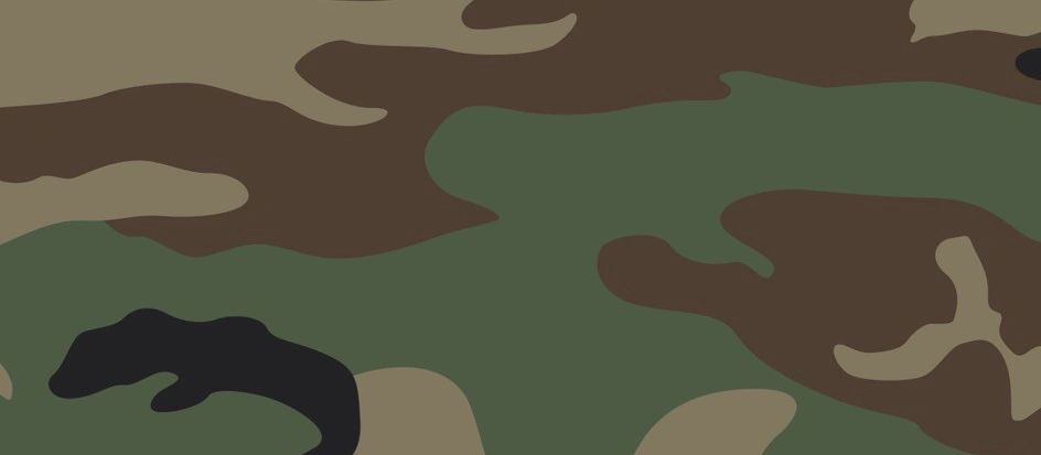 US WOODLAND (M81 Pattern)