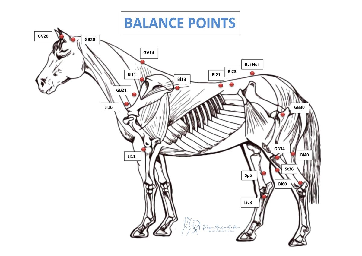 BALANCE POINTS CHART
