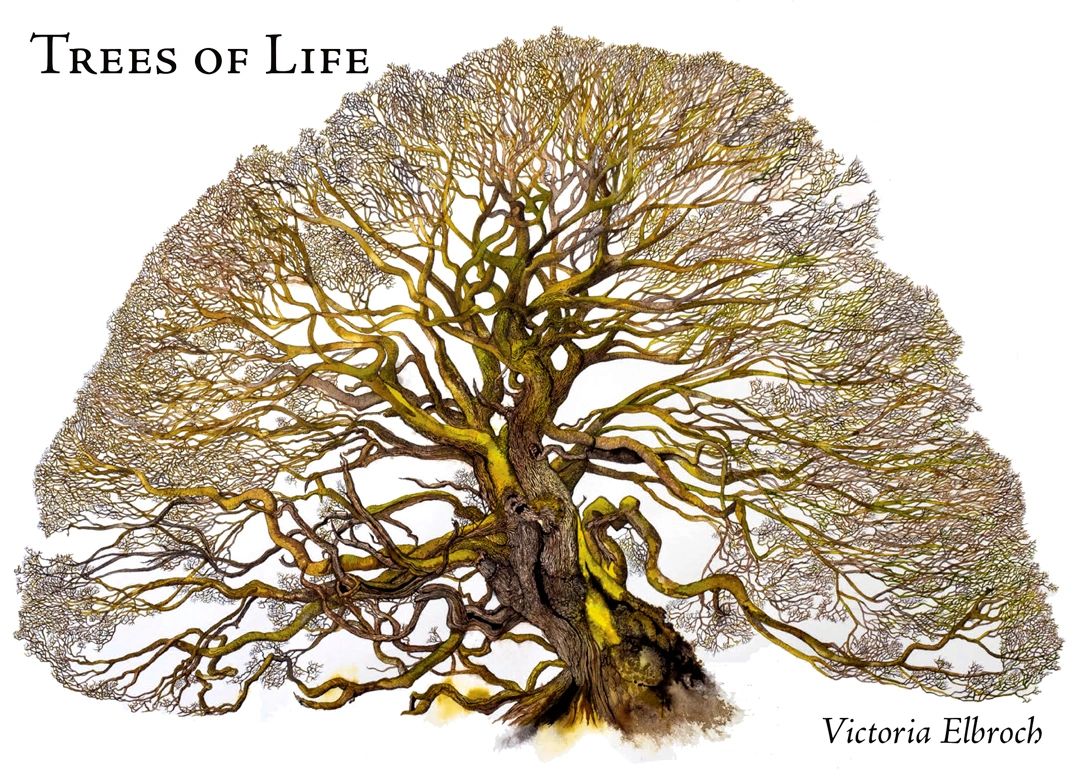 "Trees of Life" at Maine Jewish Museum