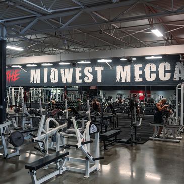 American Muscle Factory | AMF Indy