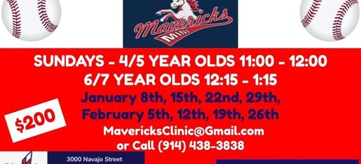 Mini -Mavericks Program