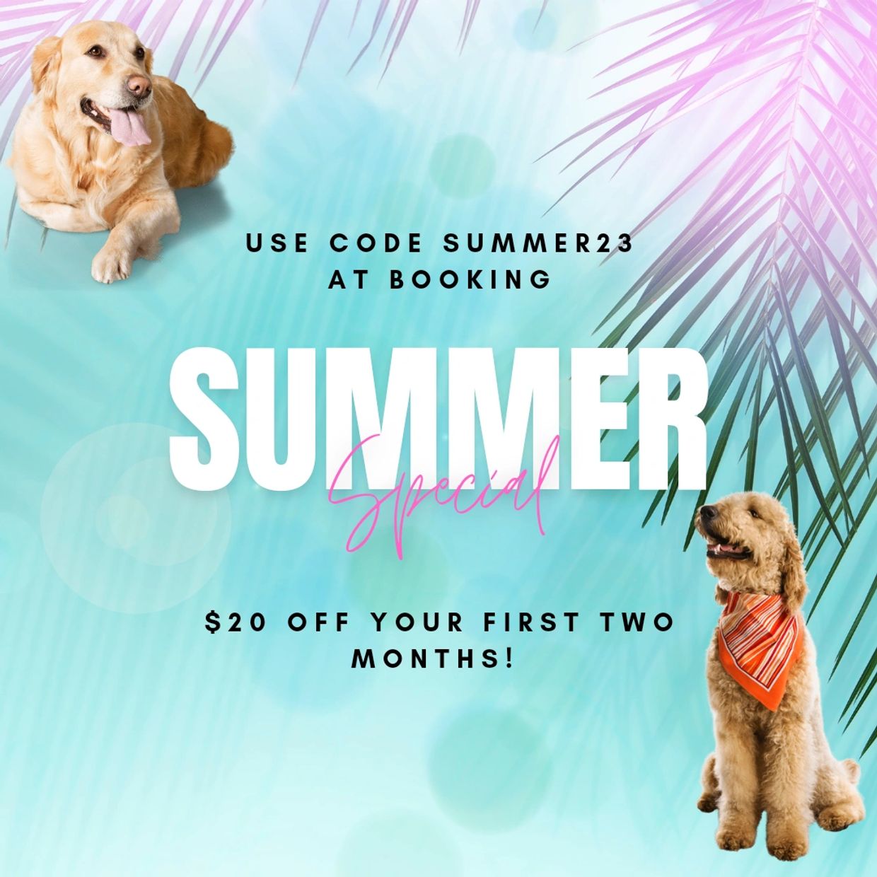 Special Offers | Savannah Poop Patrol, LLC