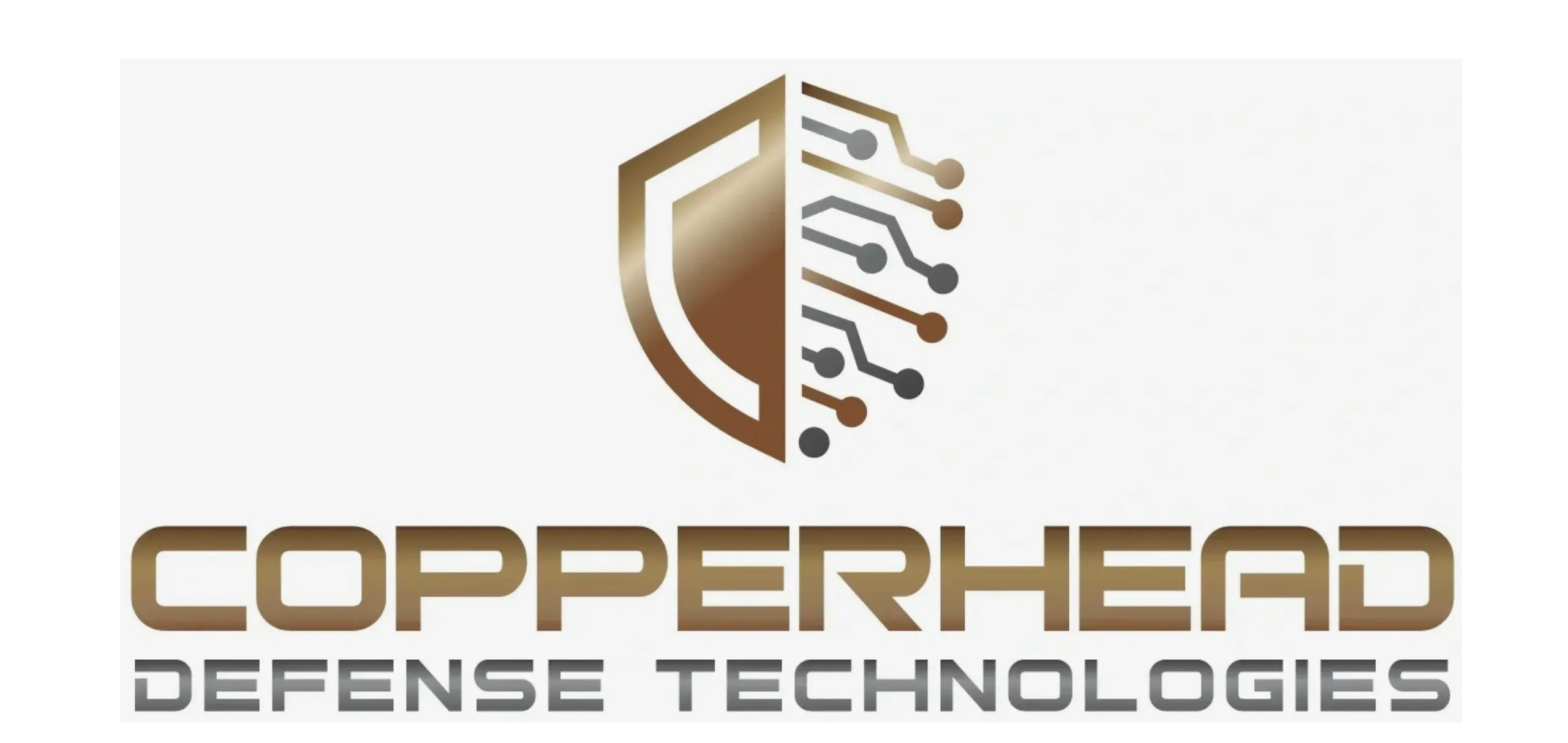 Information Technology Services - CopperHead Defense