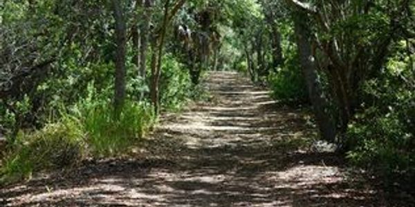 The Shores of Long Bayou - Condominium - Seminole, Florida