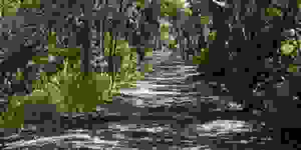 The Shores of Long Bayou - Condominium - Seminole, Florida