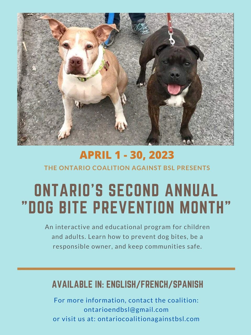 Dog Bite Prevention Poster