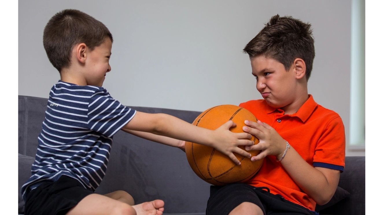 Aggressive Behavior Management