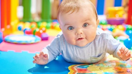 TLR Integration Explained