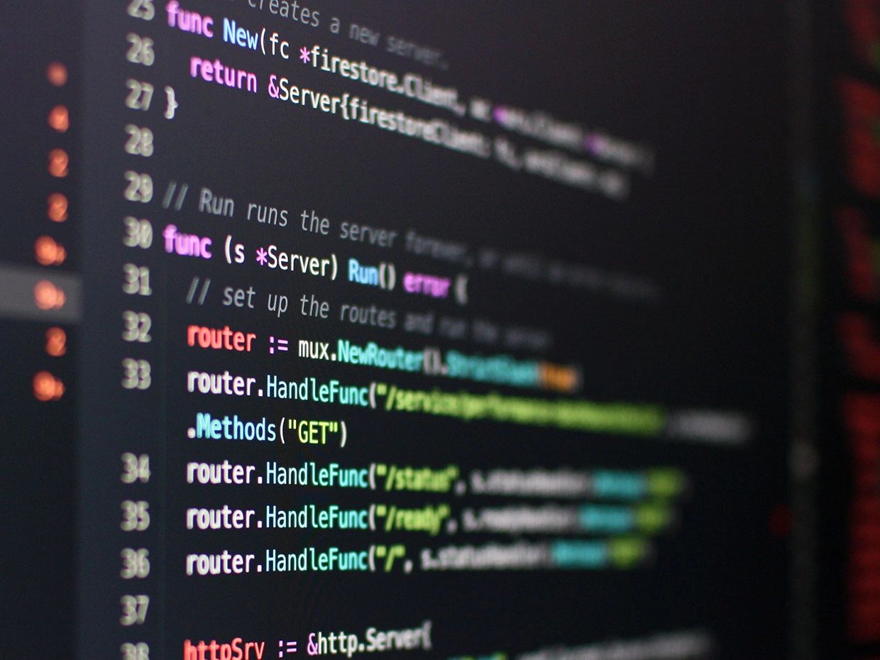 Expert Software Team Leader/Developer in Golang