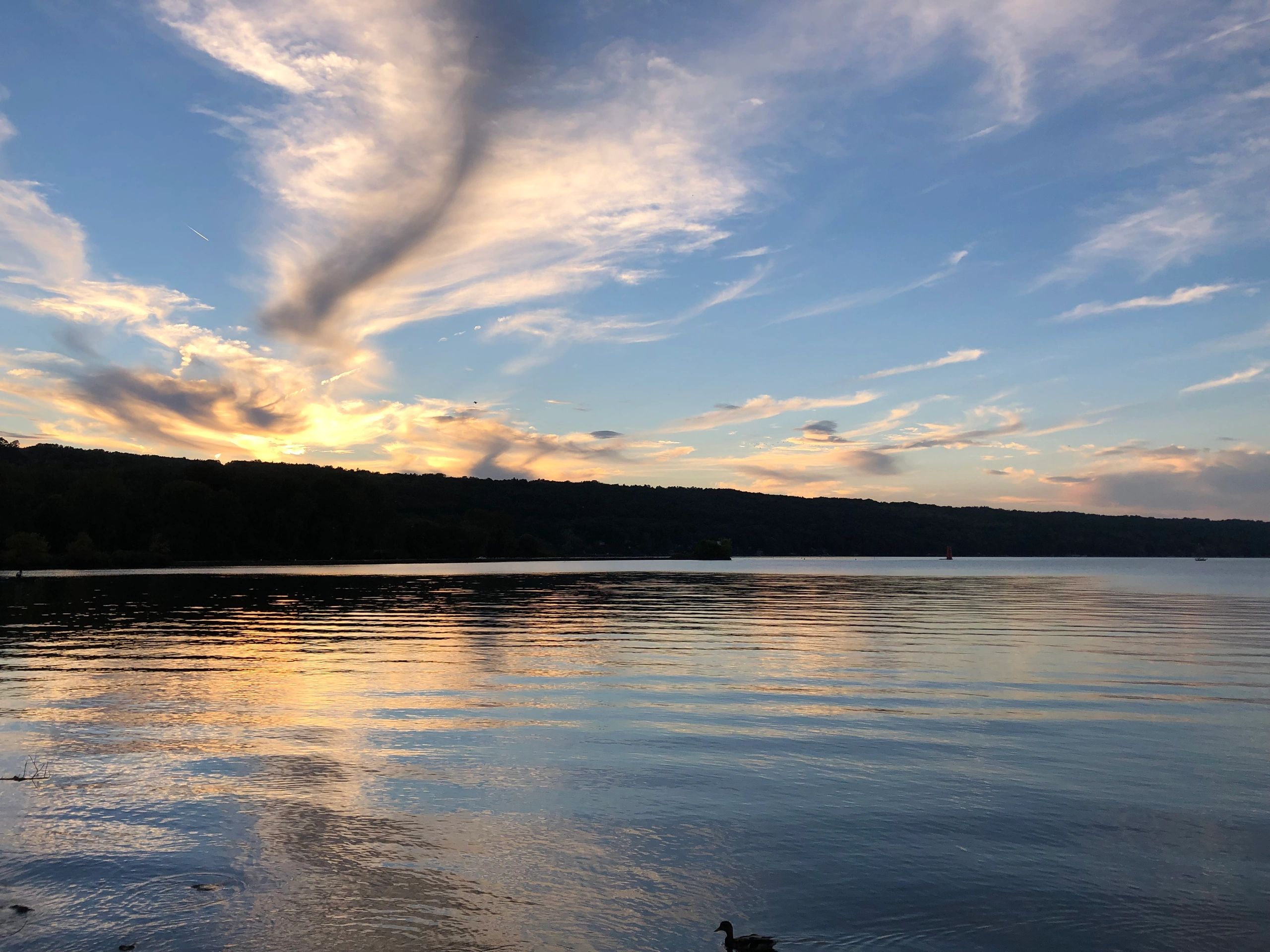 Mindful Movement Moments