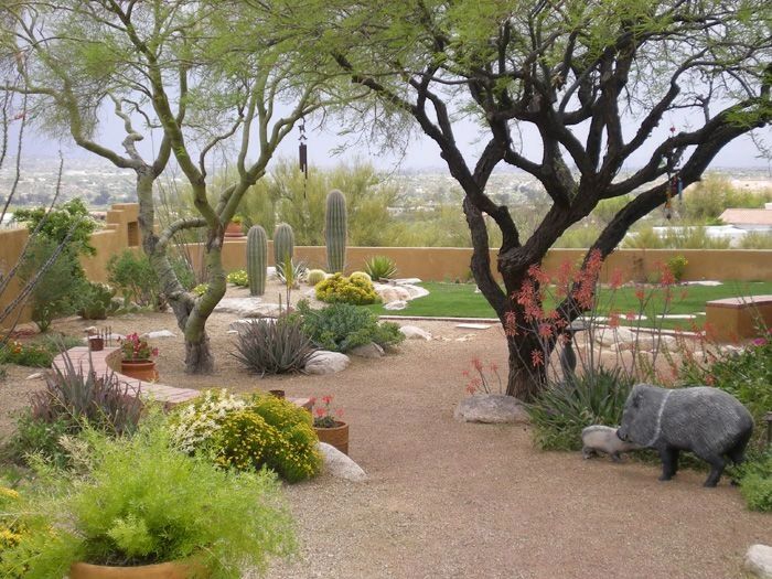 ANEWCO Landscape & Pest Control