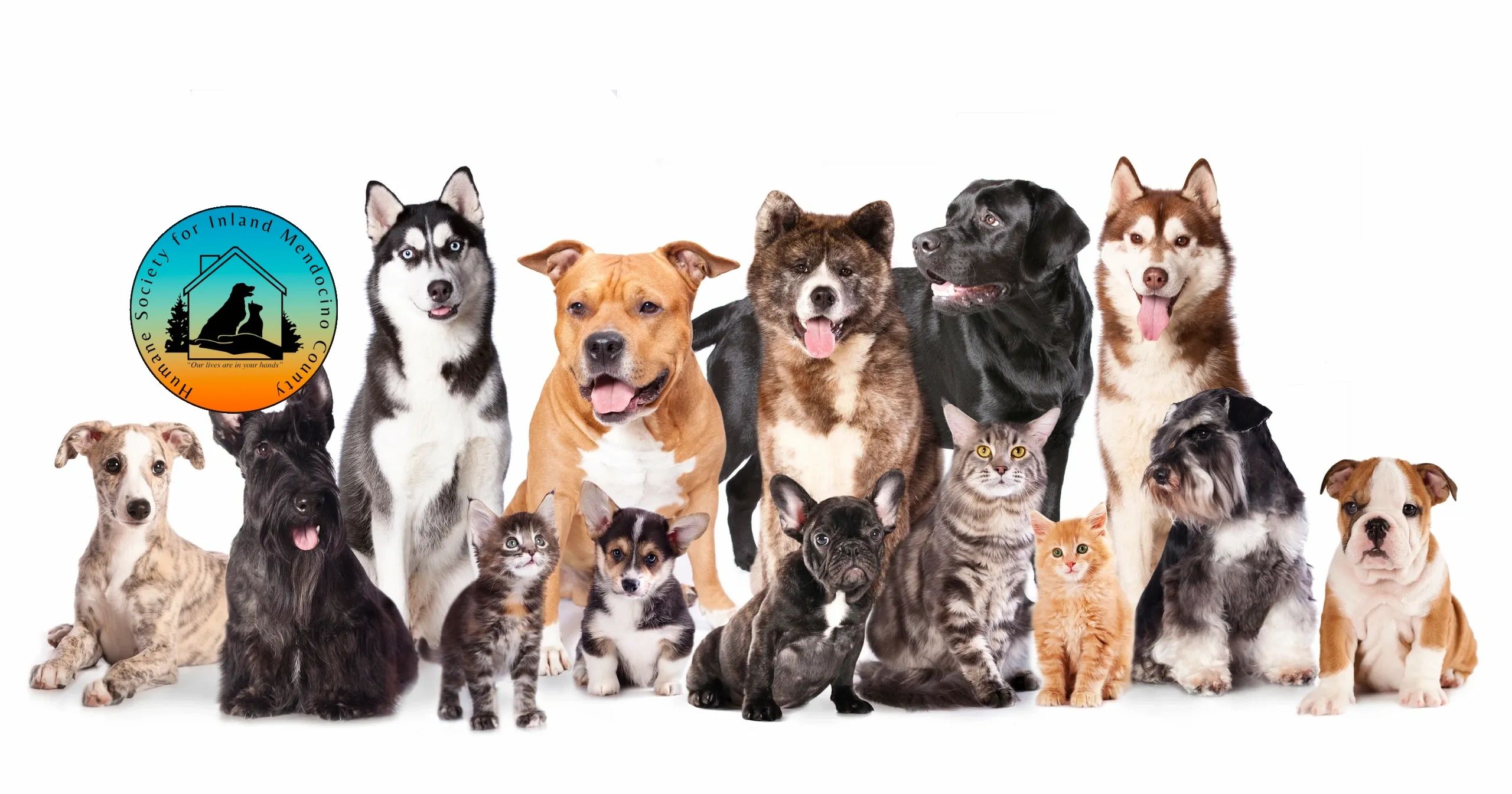 Animal Rescue - Humane Society for Inland Mendocino County