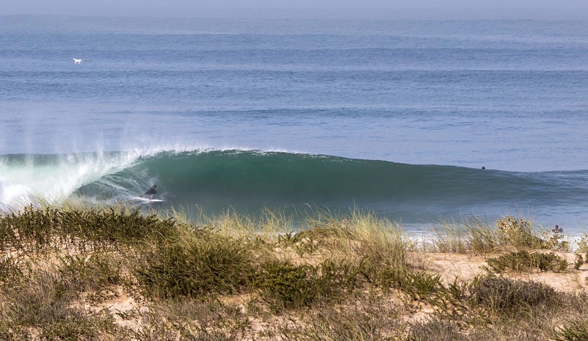 Enviromental Non Profit, Beach Clean Up - SeeChange Atlantic