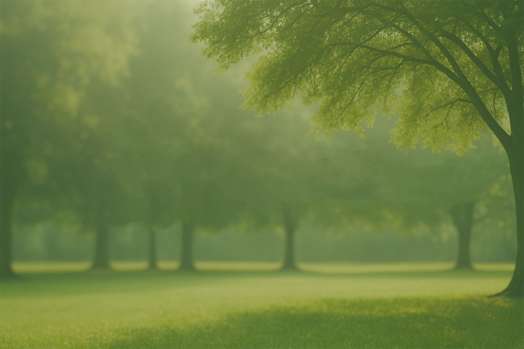 Play-Based Autism Therapy in Virginia