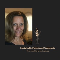 Law Offices of Sandy Lipkin