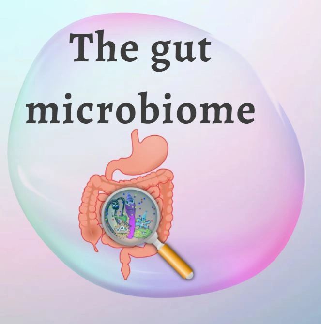 The gut microbiome: what is it? why is it important?