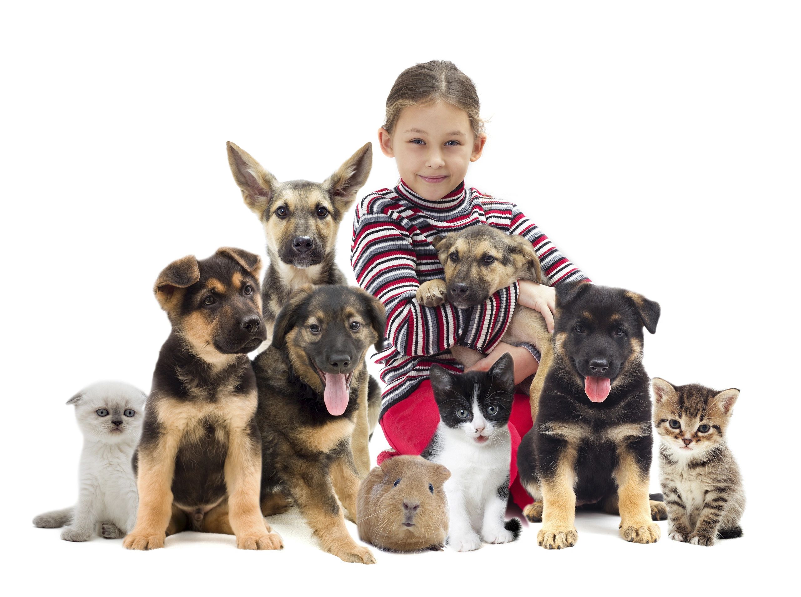 Home [kids4animalsfoundation.org]