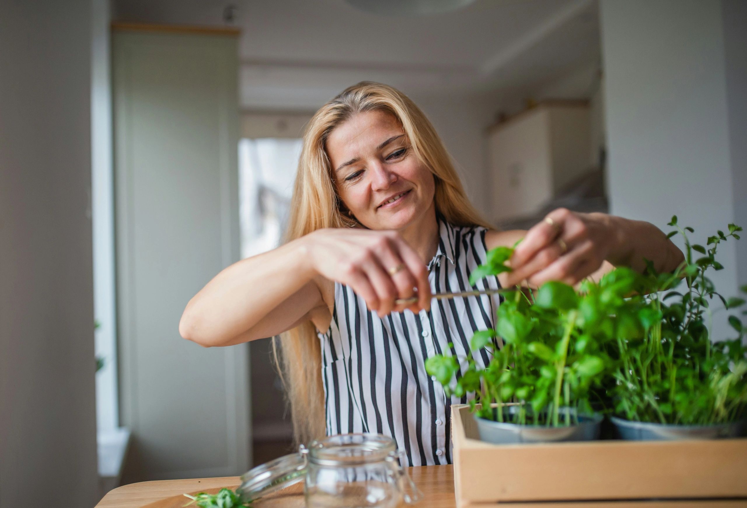 Lessons from Swedish Wellness Culture