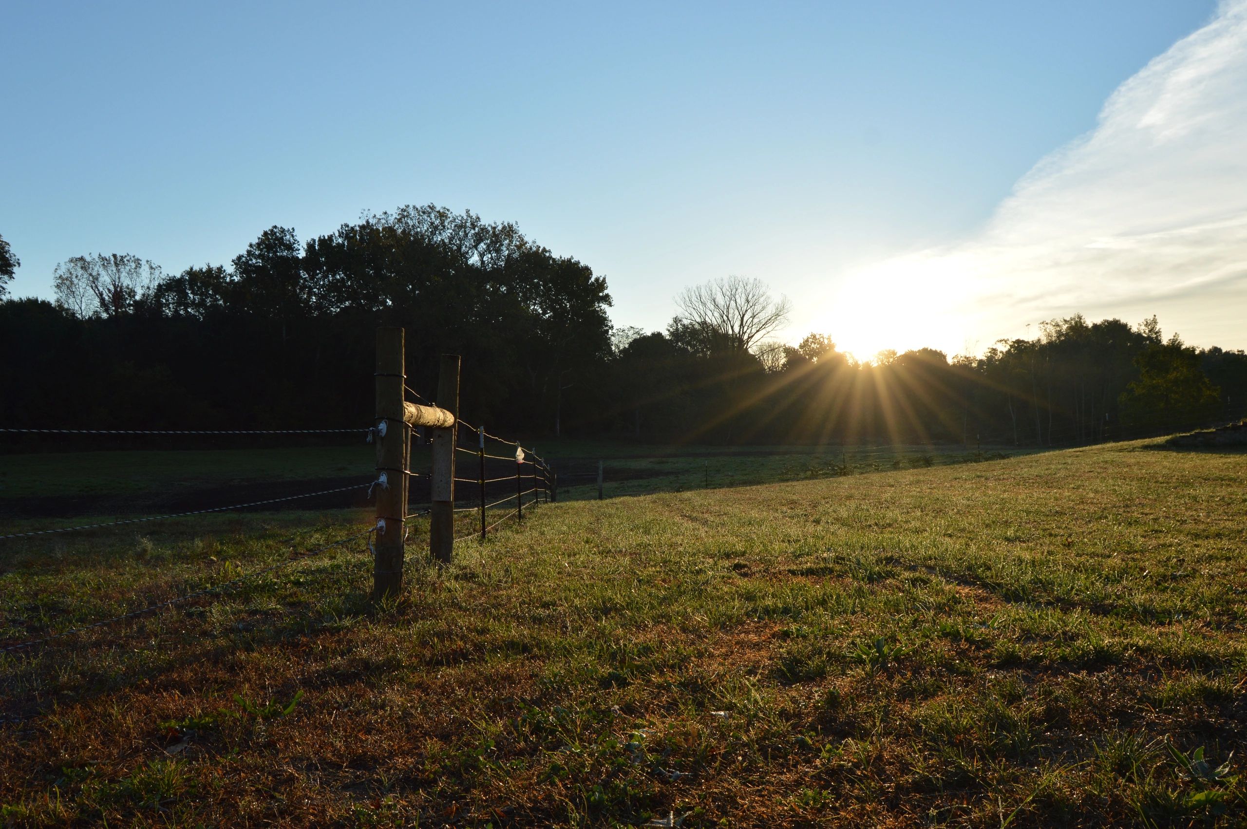 Third Day Organic Farm in Walkerton, Indiana