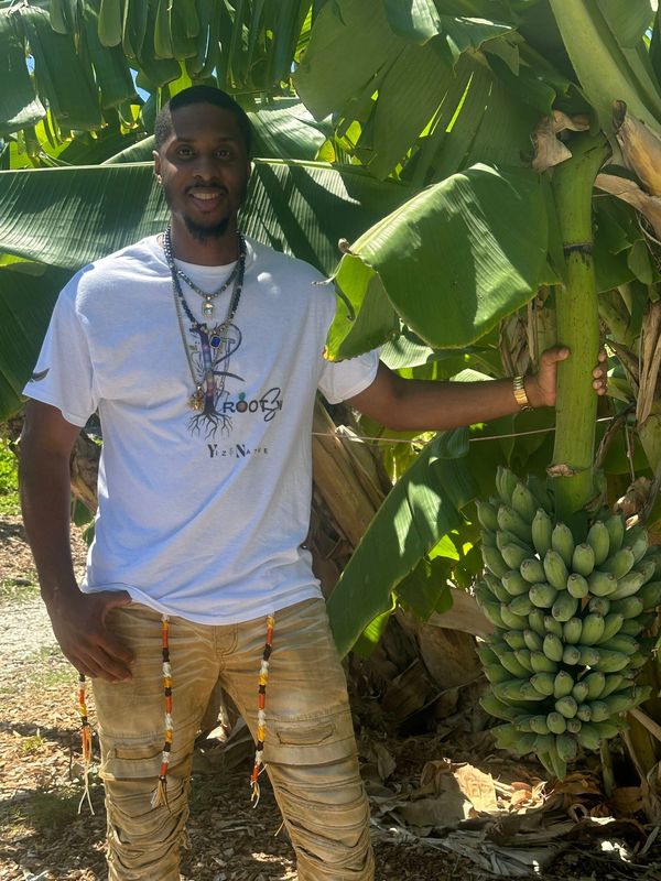 Healing Herbs and Consultations - 12 Roots YN