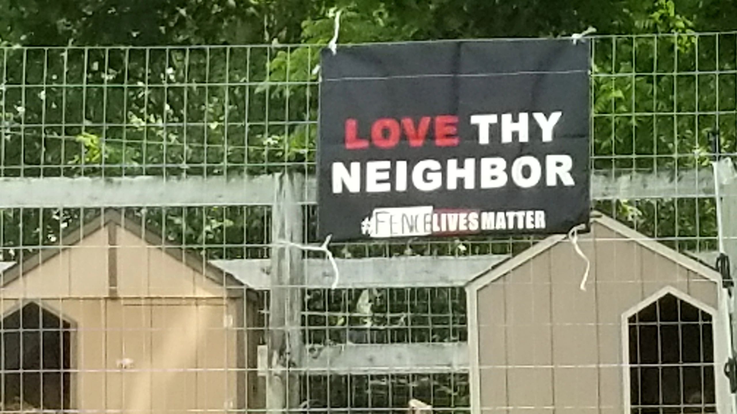 Molly Drayer Election Controversy: Know the Truth