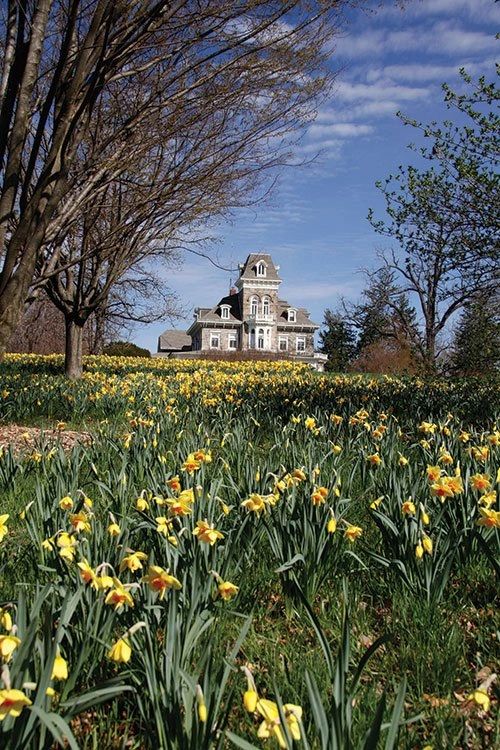 St Georges Garden Club