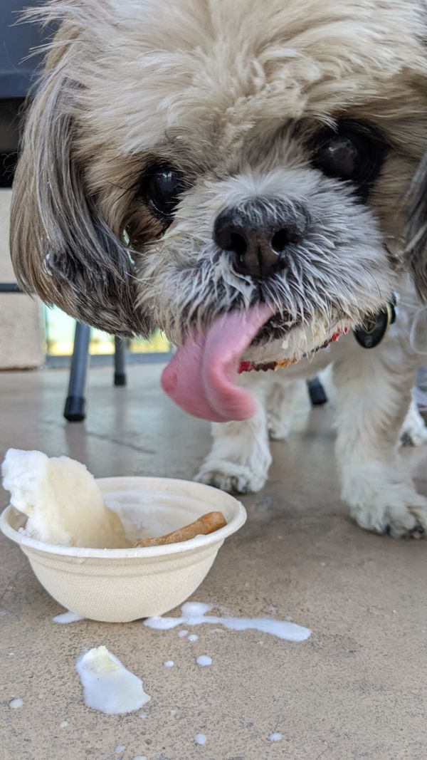 MEOWEE WOWEE - Shave Ice - Las Vegas, Nevada