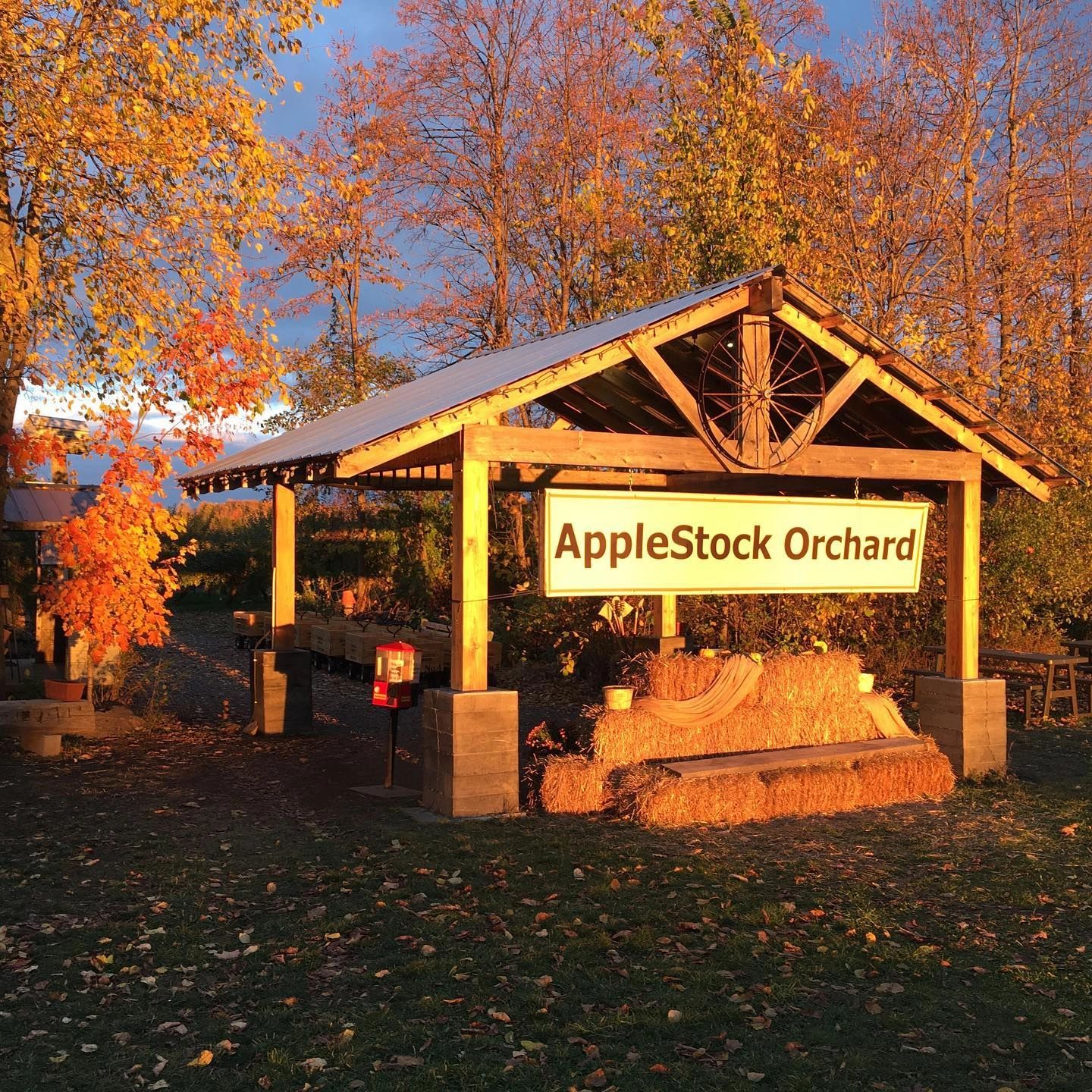 AppleStock Orchard - Apple Picking, Pick Your Own, Apple Orchard
