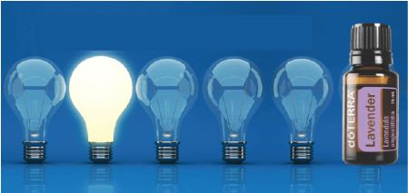 BrainAbility Essentials