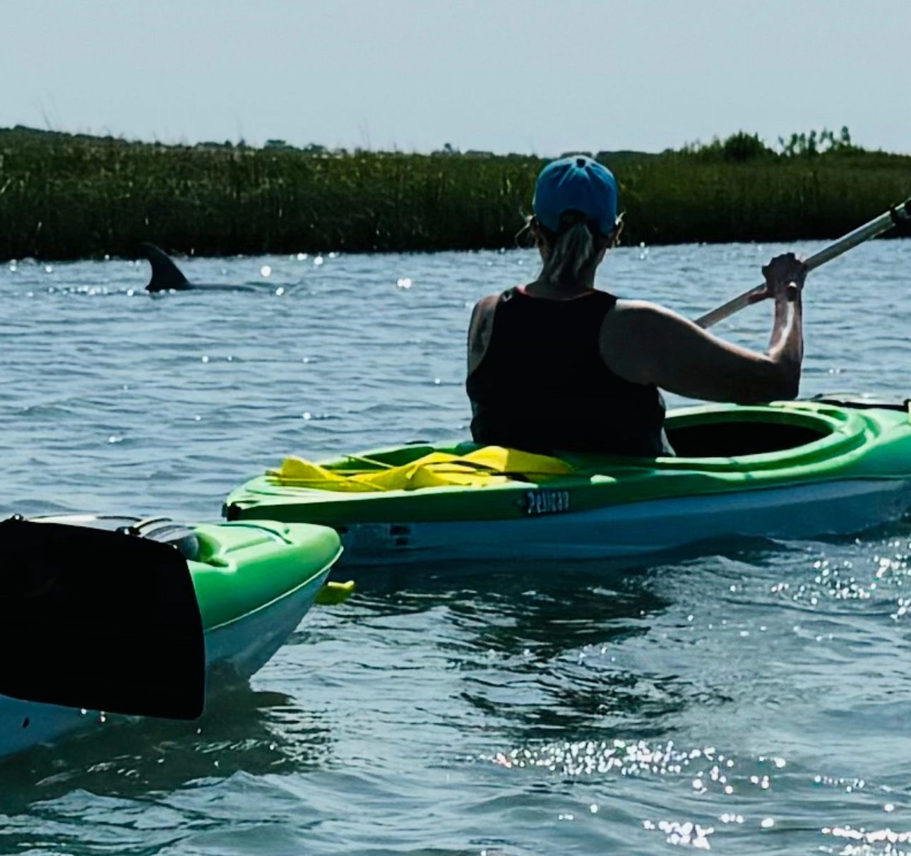Explore Cole Island with Folly River Excursions!
