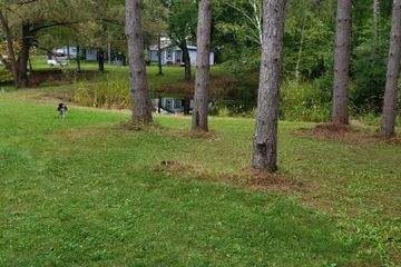 Cabins | Bullfrog Resort