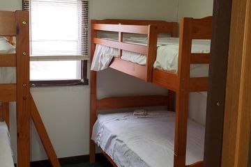 Cabins | Bullfrog Resort