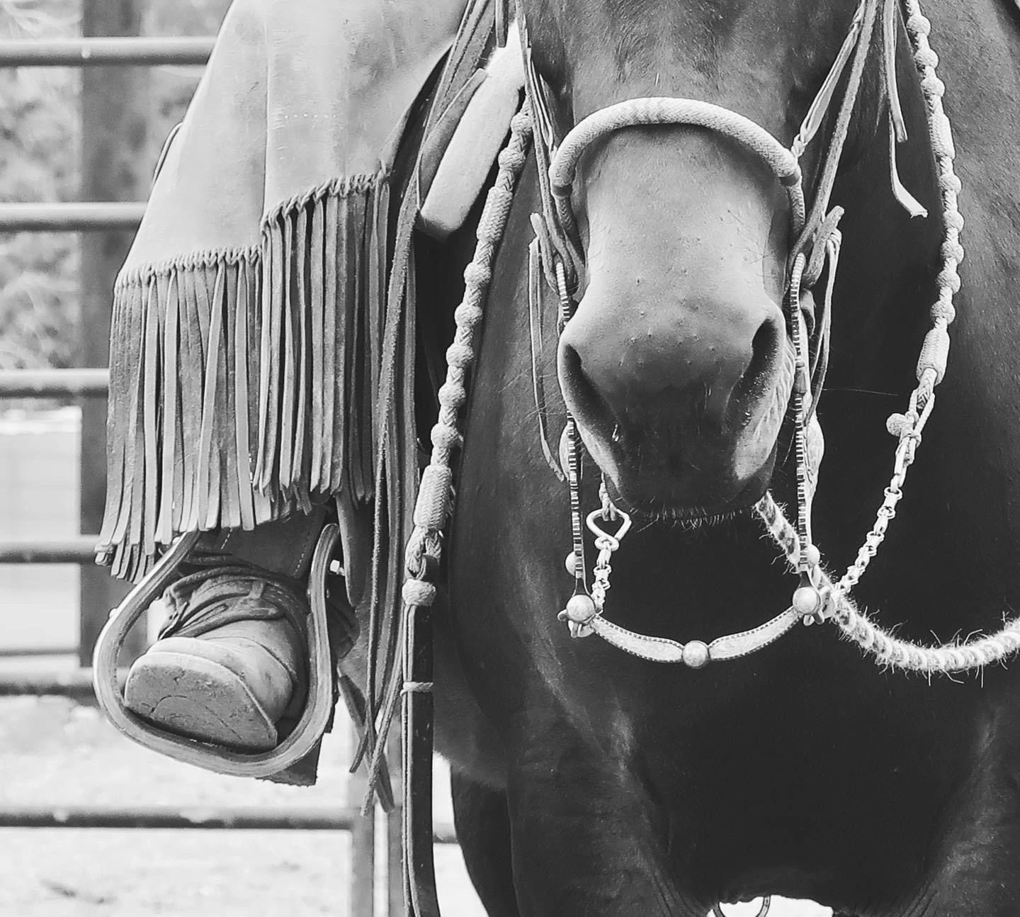 Mule Teeth With Sara Pearson DVM