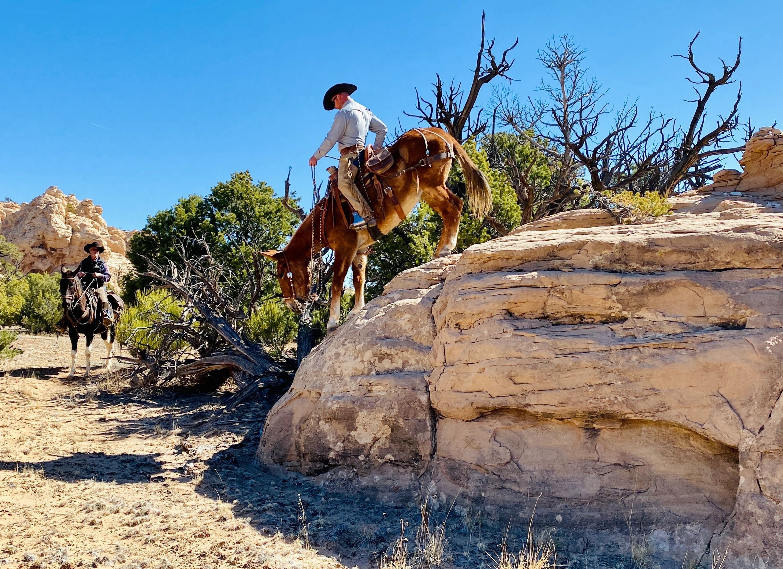 Terrain And Mule Training