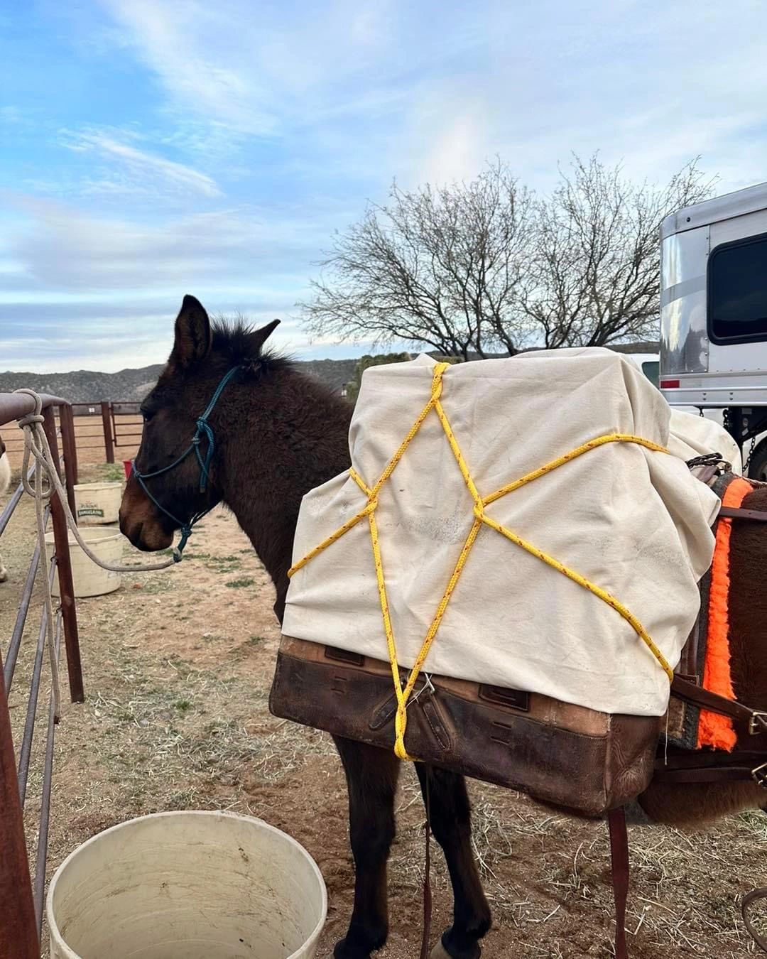 Packing Mules With Guest Chris Clark