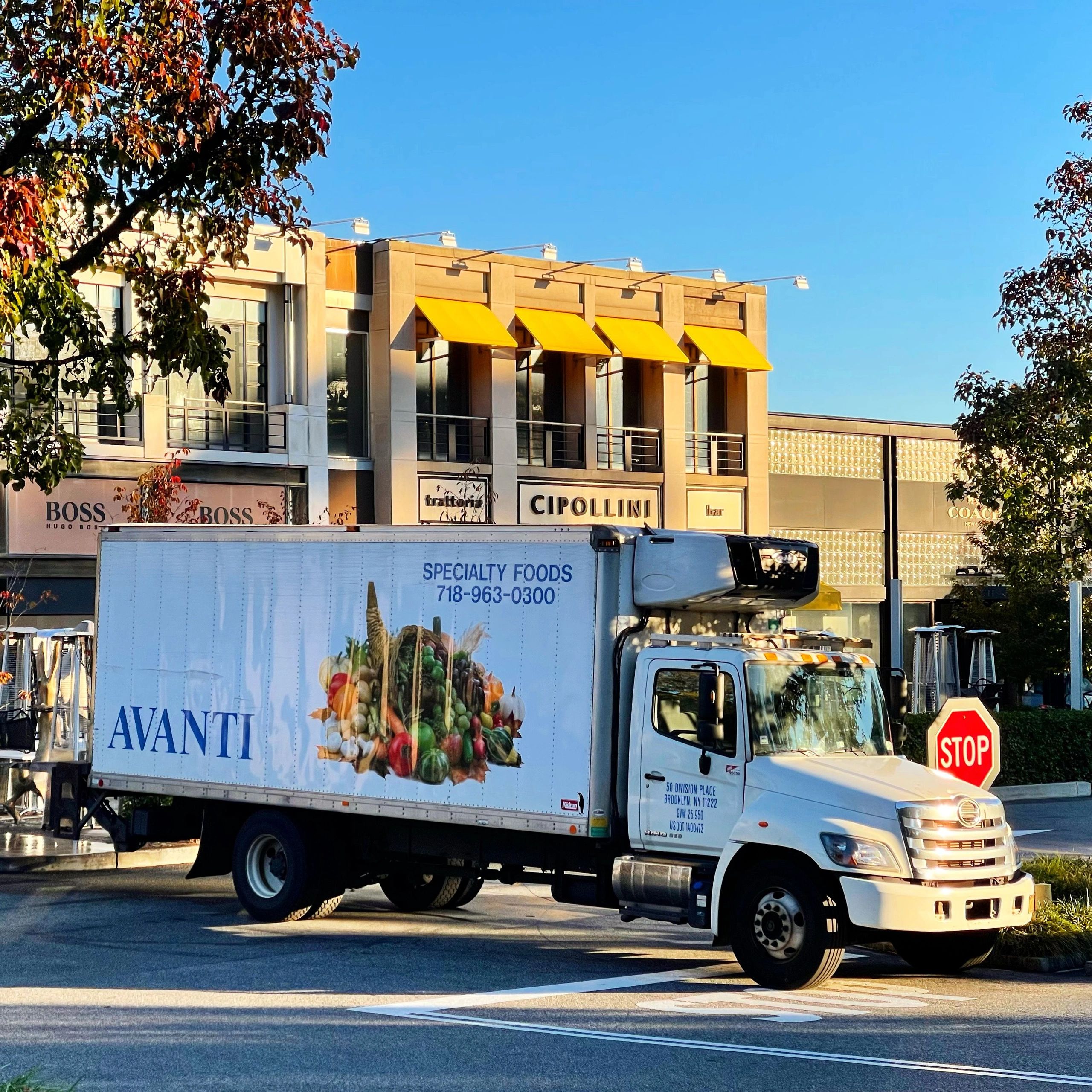 Avanti Specialty Food