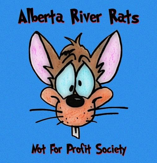 Alberta River Rats